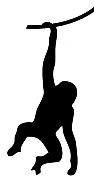 Monkey PNG, Monkey Transparent Background - FreeIconsPNG Monkey PNG, Monkey Transparent Background - FreeIconsPNG
