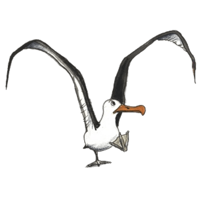 Albatross PNG, Albatross Transparent Background - FreeIconsPNG