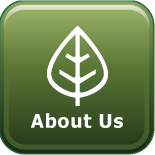 Icon Vectors Free About Us Download PNG Transparent Background, Free ...