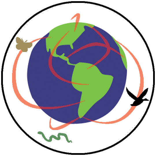 Icon Symbol Adaptability PNG Transparent Background, Free Download ...