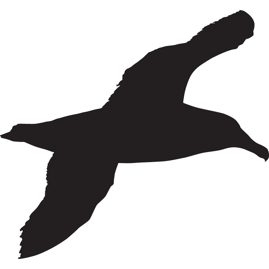 Albatross PNG, Albatross Transparent Background - FreeIconsPNG