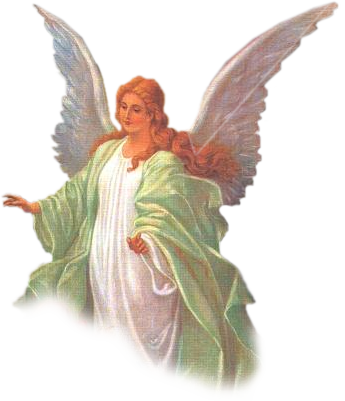 Format Images Of Angel PNG Transparent Background, Free Download #19579 ...