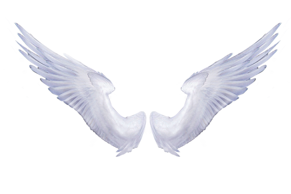 Angel PNG, Angel Transparent Background - FreeIconsPNG
