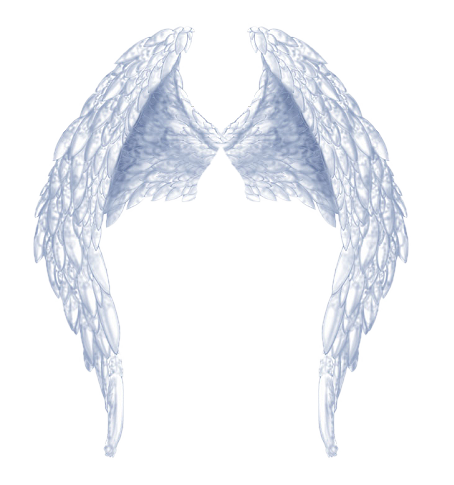 Angel Png - Free Icons and PNG Backgrounds