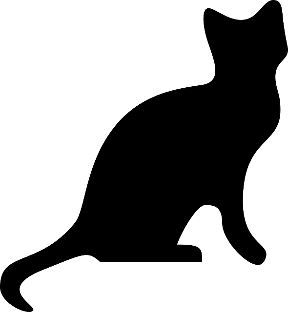 Animals, Cat, Head, People, Profile, Silhouette Public Domain PNG ...