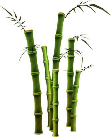 Bamboo File PNG Transparent Background, Free Download #40487 - FreeIconsPNG