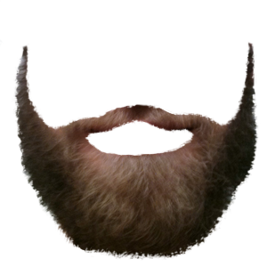 Beard Photo PNG Transparent Background, Free Download #851 - FreeIconsPNG
