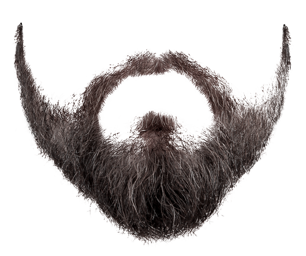Beard PNG, Beard Transparent Background - FreeIconsPNG