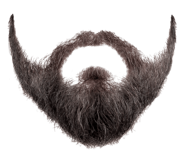 Beard PNG, Beard Transparent Background - FreeIconsPNG