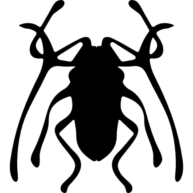 Icon Beetle Pictures PNG Transparent Background, Free Download #28129 ...