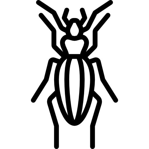 Beetle Icon, Transparent Beetle.PNG Images & Vector - FreeIconsPNG