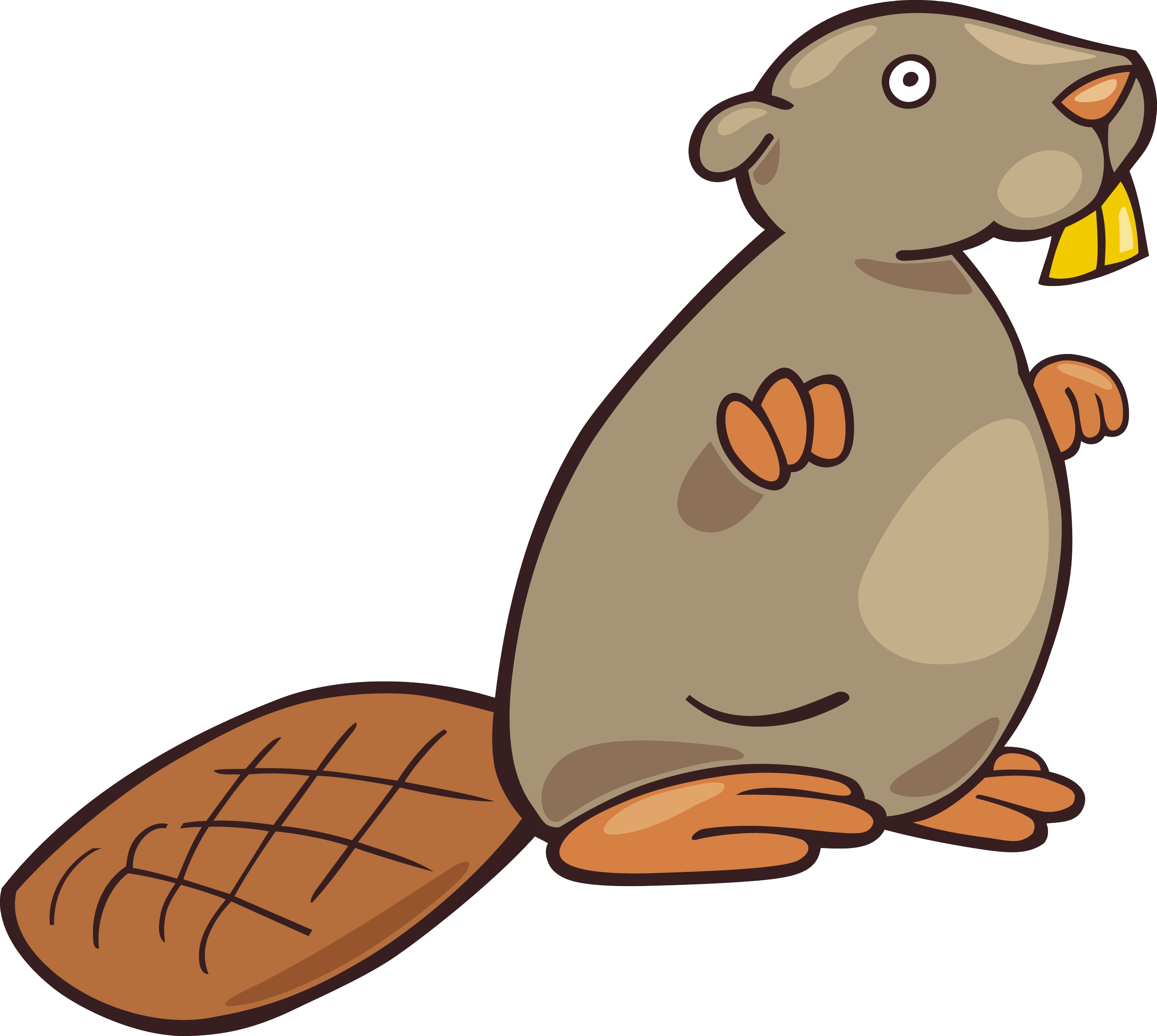 Beaver PNG, Beaver Transparent Background - FreeIconsPNG