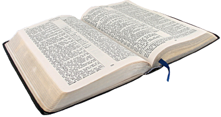 Bible PNG, Bible Transparent Background - FreeIconsPNG