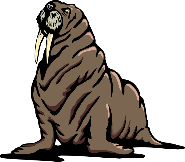 Big Black Skinned Walrus Skin Layers Photo PNG Transparent Background ...