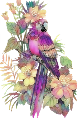 Bird Purple Icon, Transparent Bird Purple.PNG Images & Vector ...