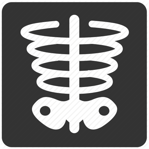 Bone Slide, Health, Health Check, Identify, Medical, X Ray Icon PNG ...