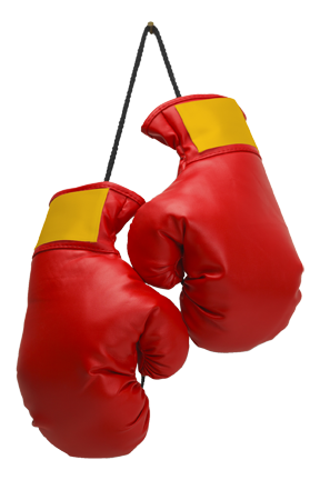 Boxing PNG, Boxing Transparent Background - FreeIconsPNG