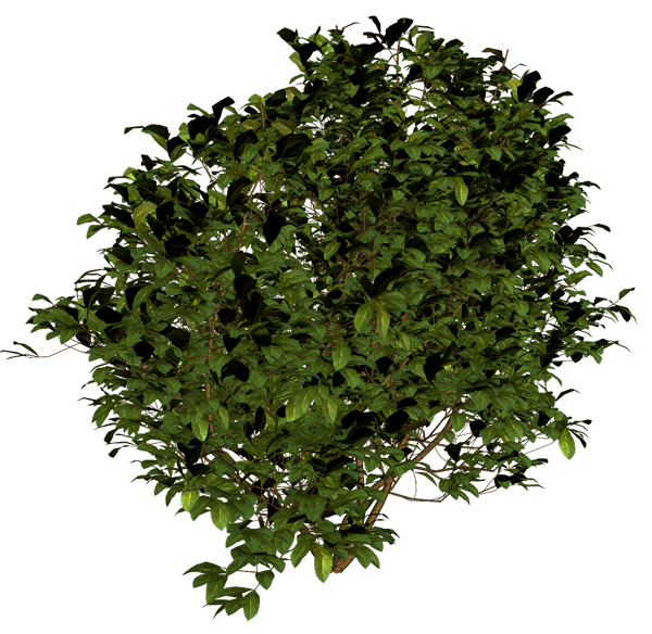 Bushes Background PNG Transparent Background, Free Download #2812 ...