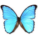 Butterfly Symbols PNG Transparent Background, Free Download #17703 ...