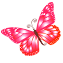 Download Ico Butterfly PNG Transparent Background, Free Download #17681 ...