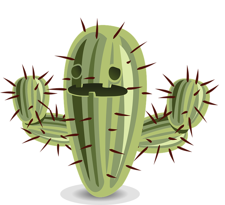 Cactus Clipart PNG Transparent Background, Free Download #39161 ...