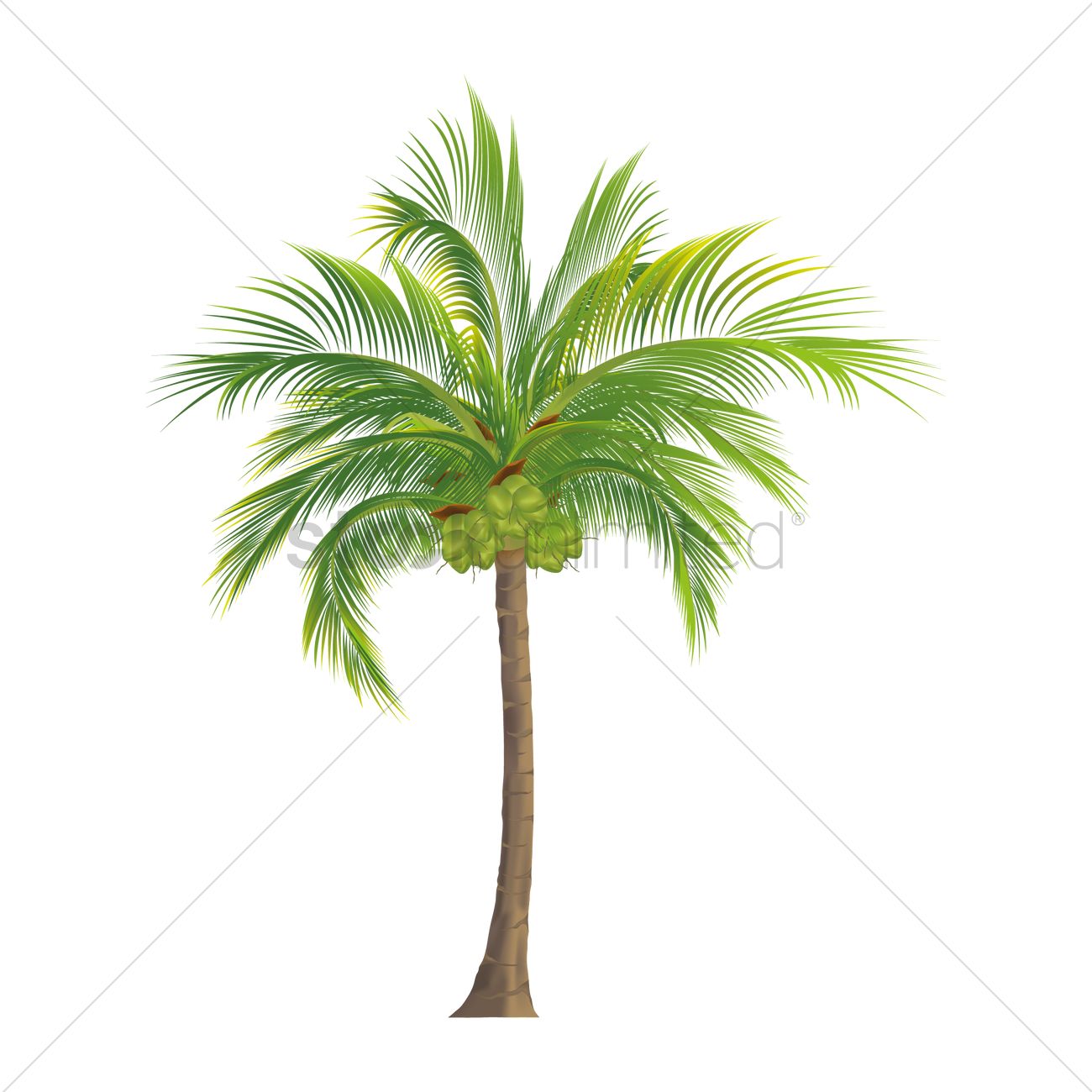 Coconut Tree Background PNG Transparent Background, Free Download ...