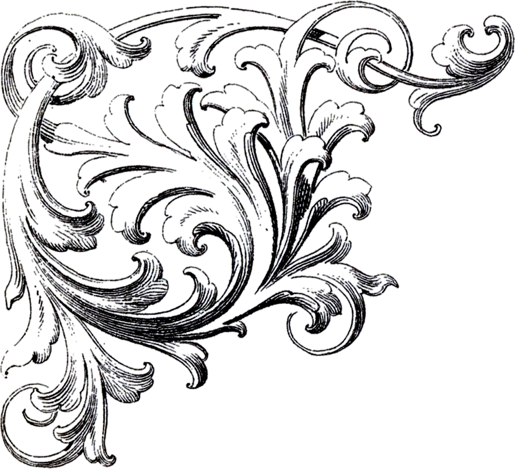 Victorian Scrollwork Clipart