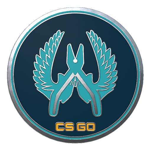 Csgo Icon, Transparent Csgo.PNG Images & Vector - FreeIconsPNG