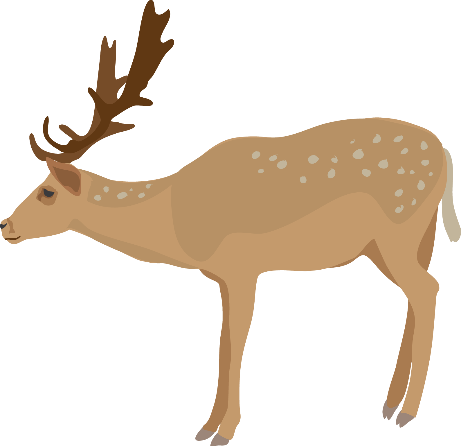 Cute Deer Png