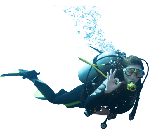 Dive Sport, Diving PNG Transparent Background, Free Download #4434 ...