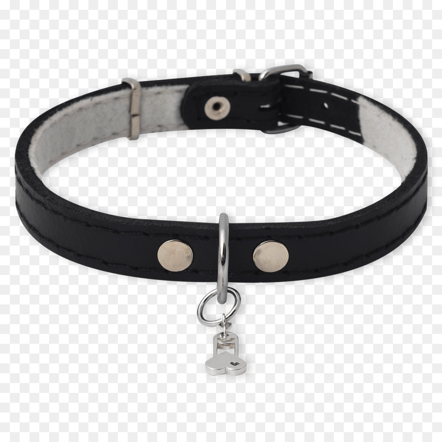 Dog Collar PNG, Dog Collar Transparent Background - FreeIconsPNG