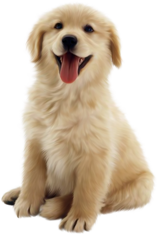 Dog PNG Dog Transparent Background FreeIconsPNG