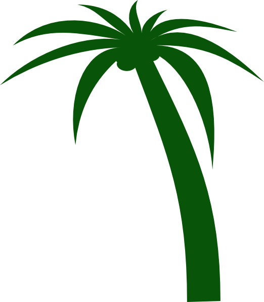 Download Coconut Tree High Quality PNG Transparent Background, Free ...