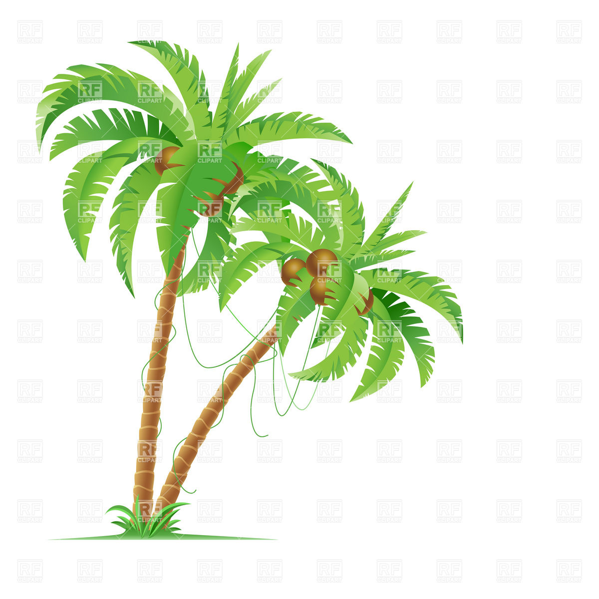 Palm Tree Coconut Clipart