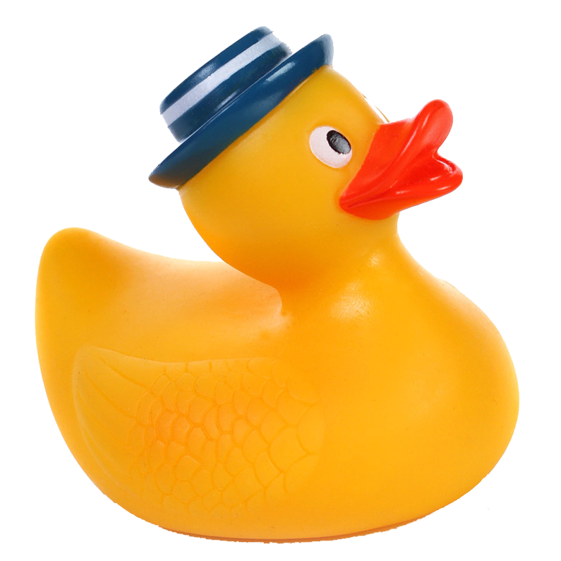 Duck PNG, Duck Transparent Background - FreeIconsPNG