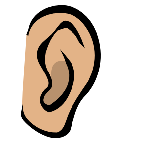 Ear Image PNG Transparent Background, Free Download #2649 - FreeIconsPNG