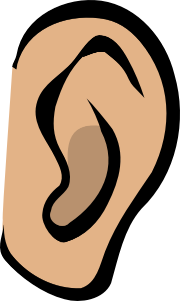 Ears PNG Transparent Background, Free Download #2651 - FreeIconsPNG