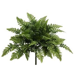 Fern Icon PNG Transparent Background, Free Download #26198 - FreeIconsPNG