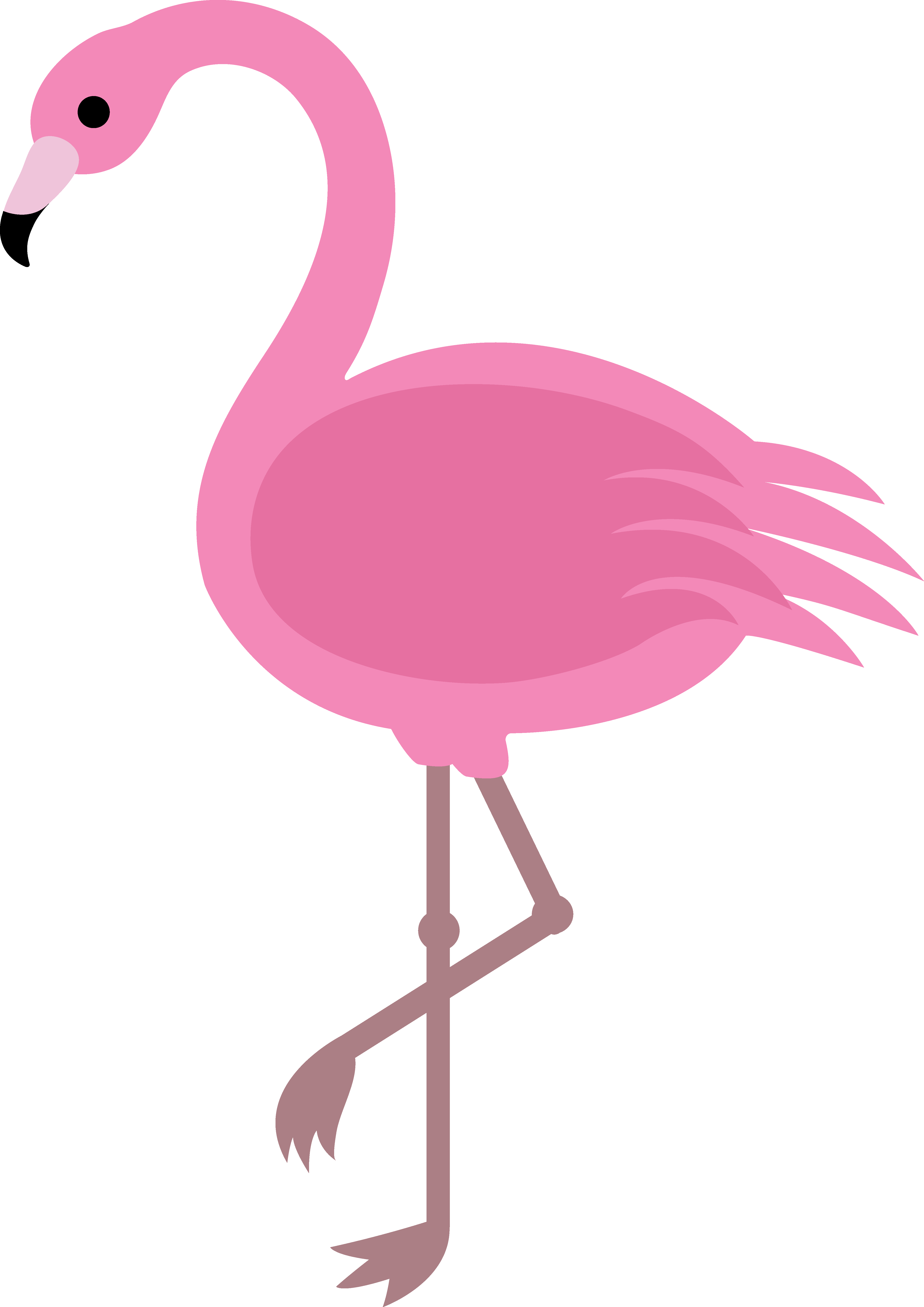 Flamingo Photo Pictures PNG Transparent Background, Free Download ...