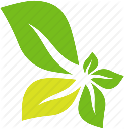 Flower Leaves Icon PNG Transparent Background, Free Download #10669 ...