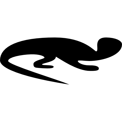 Gecko, Iguana, Lizard, Reptile, Salamander Icon PNG Transparent ...
