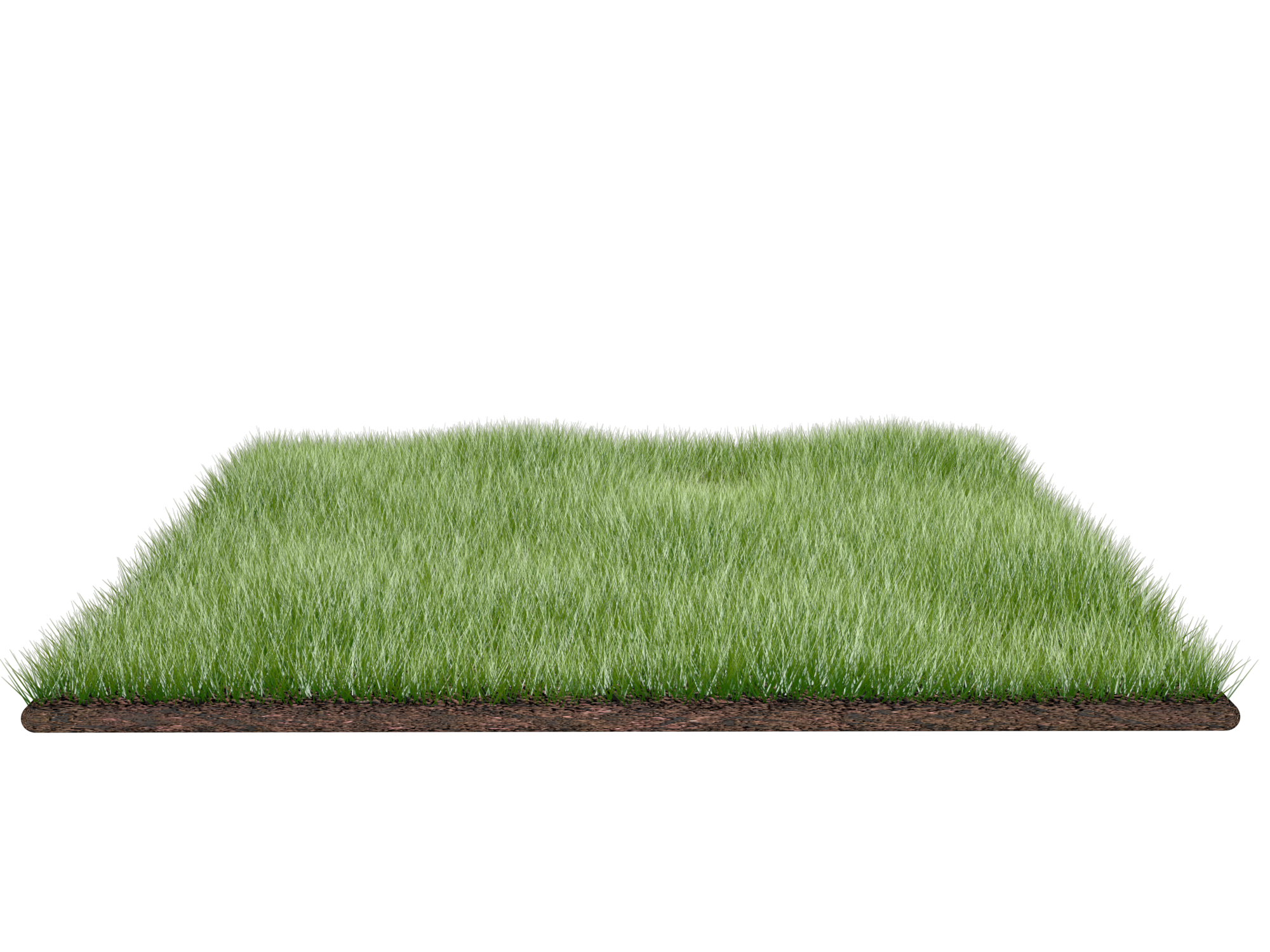 Grass Field PNG Transparent Background, Free Download #4767 - FreeIconsPNG