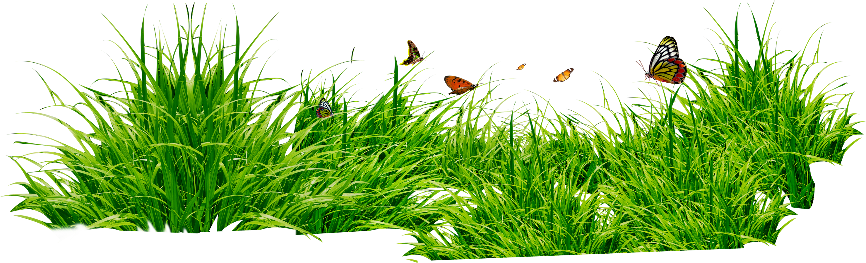 Grass Pictures Green PNG Transparent Background, Free Download #44871 ...