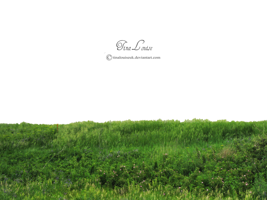Grass PNG, Grass Transparent Background - FreeIconsPNG