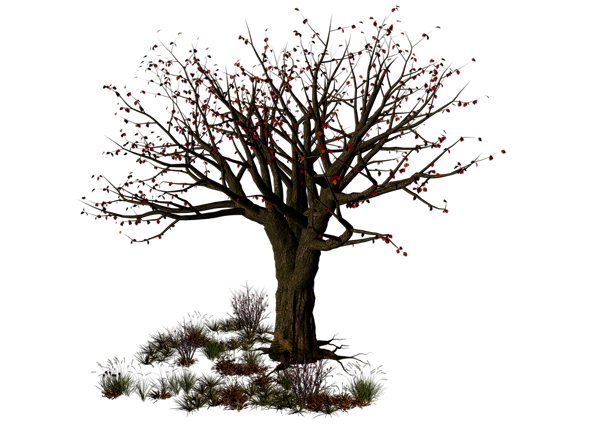 Halloween Tree PNG, Halloween Tree Transparent Background - FreeIconsPNG