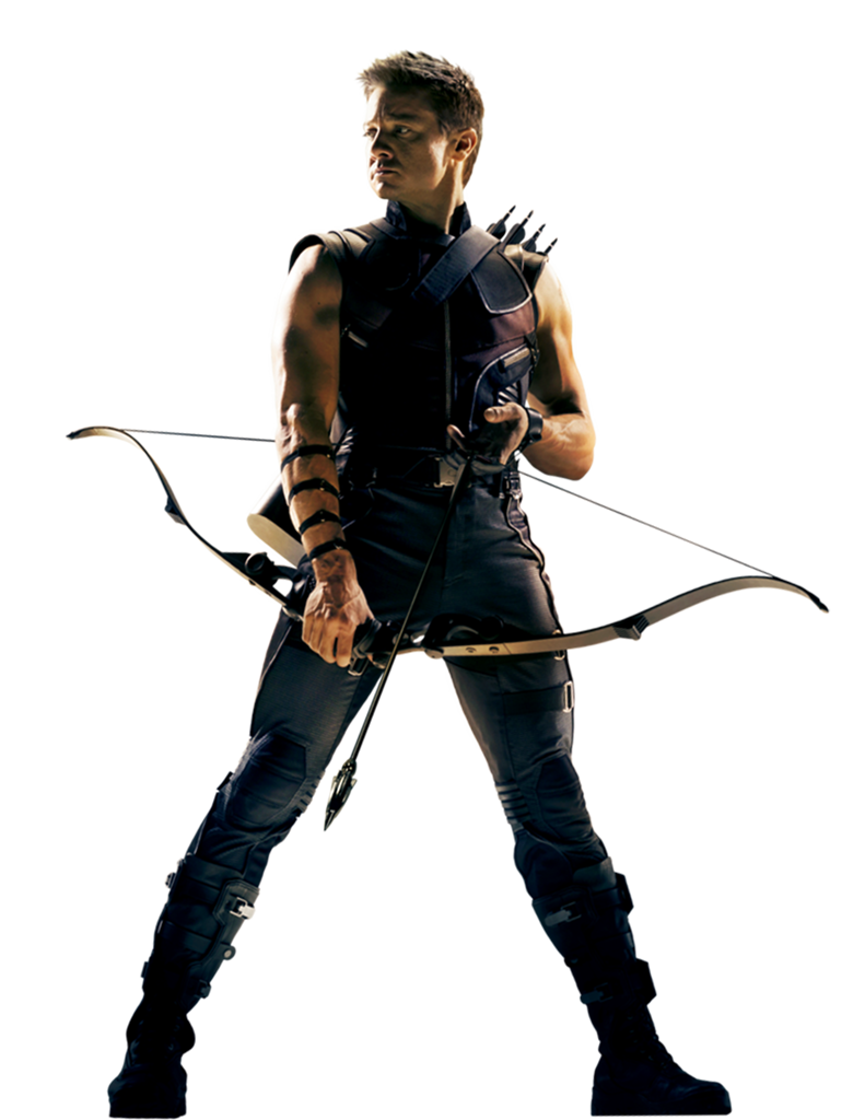 Photo Hawkeye PNG Transparent Background, Free Download #18517 ...