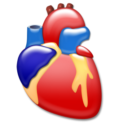Heart Cardiology Icon PNG Transparent Background, Free Download #25444 ...