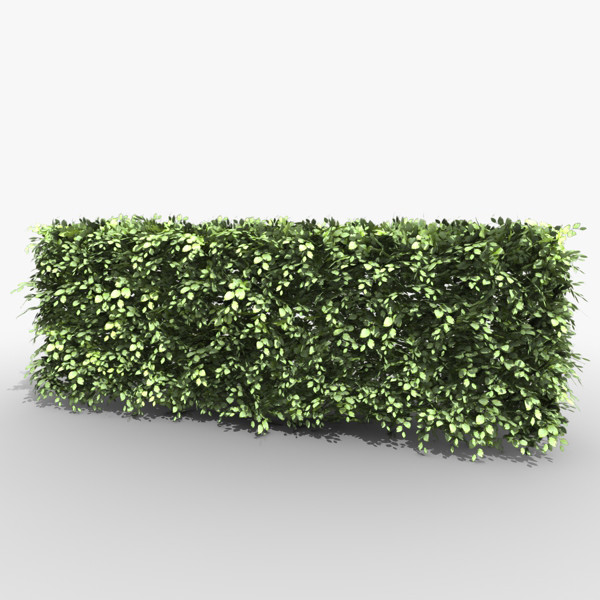 Clipart Hedges PNG Transparent Background, Free Download #32436 ...
