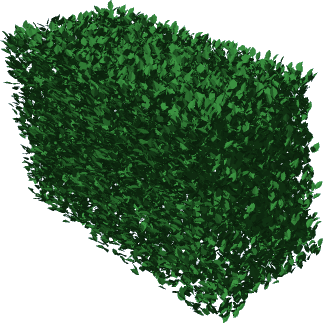 Hedges PNG, Hedges Transparent Background - FreeIconsPNG