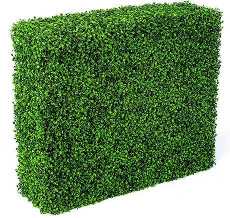 Hedges Images Free Download PNG Transparent Background, Free Download ...
